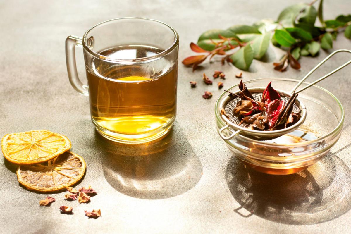 Bienvenue au camp nordique